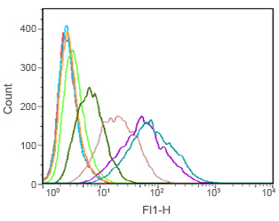 CellPower™ 細胞株樹立と遺伝子操作細胞試験サービス